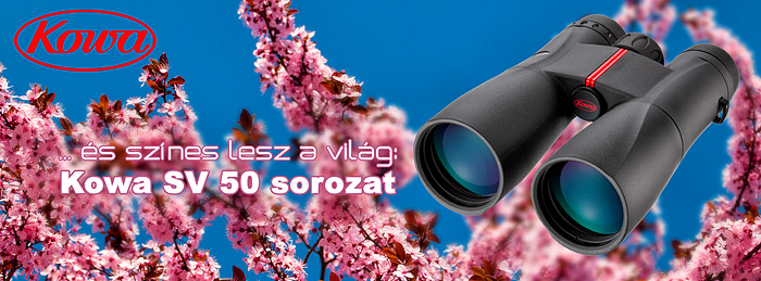 Kowa SV 50-12 binokulár - Tennofoto.hu